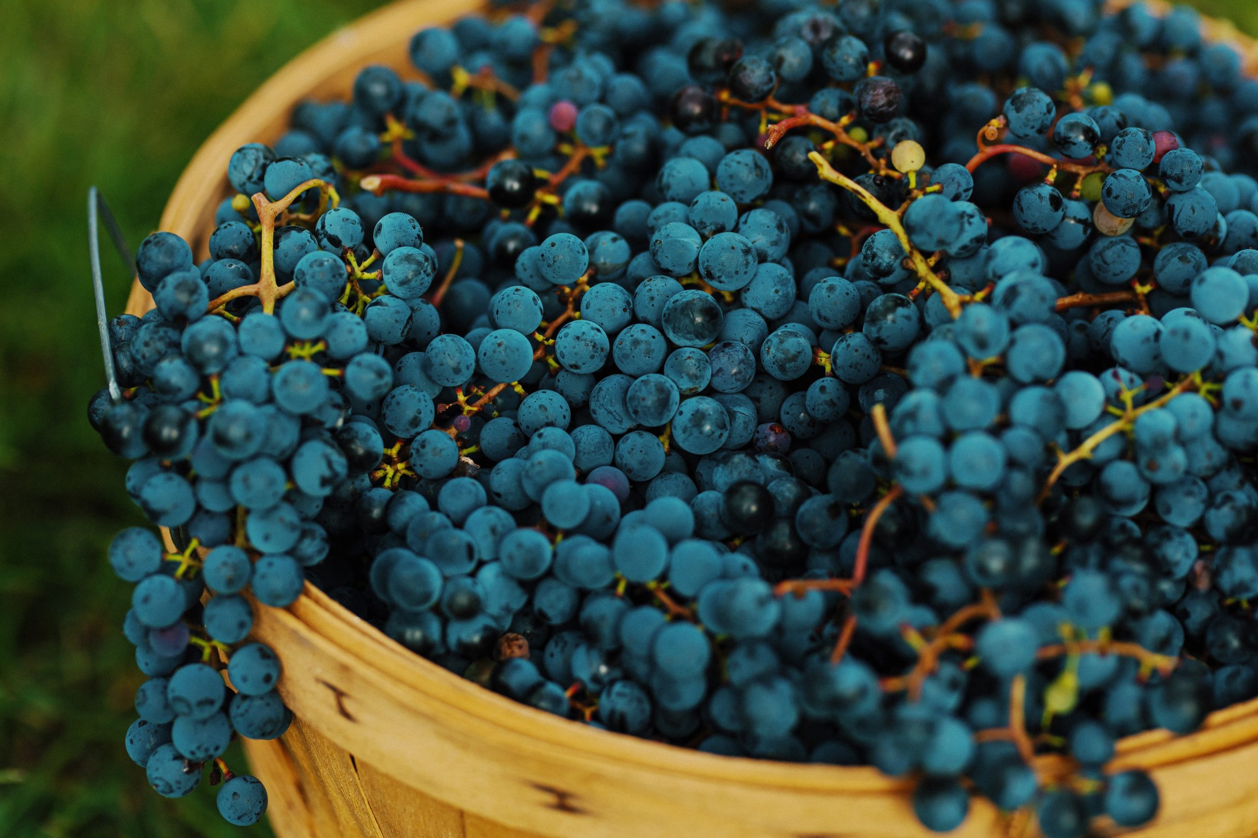 VanDeMark Farm & Vineyard